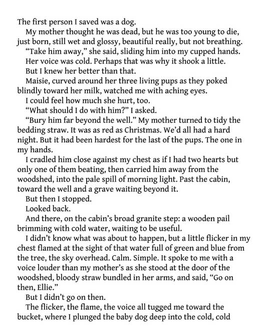 Echo Mountain (paperback) – Nickel Books